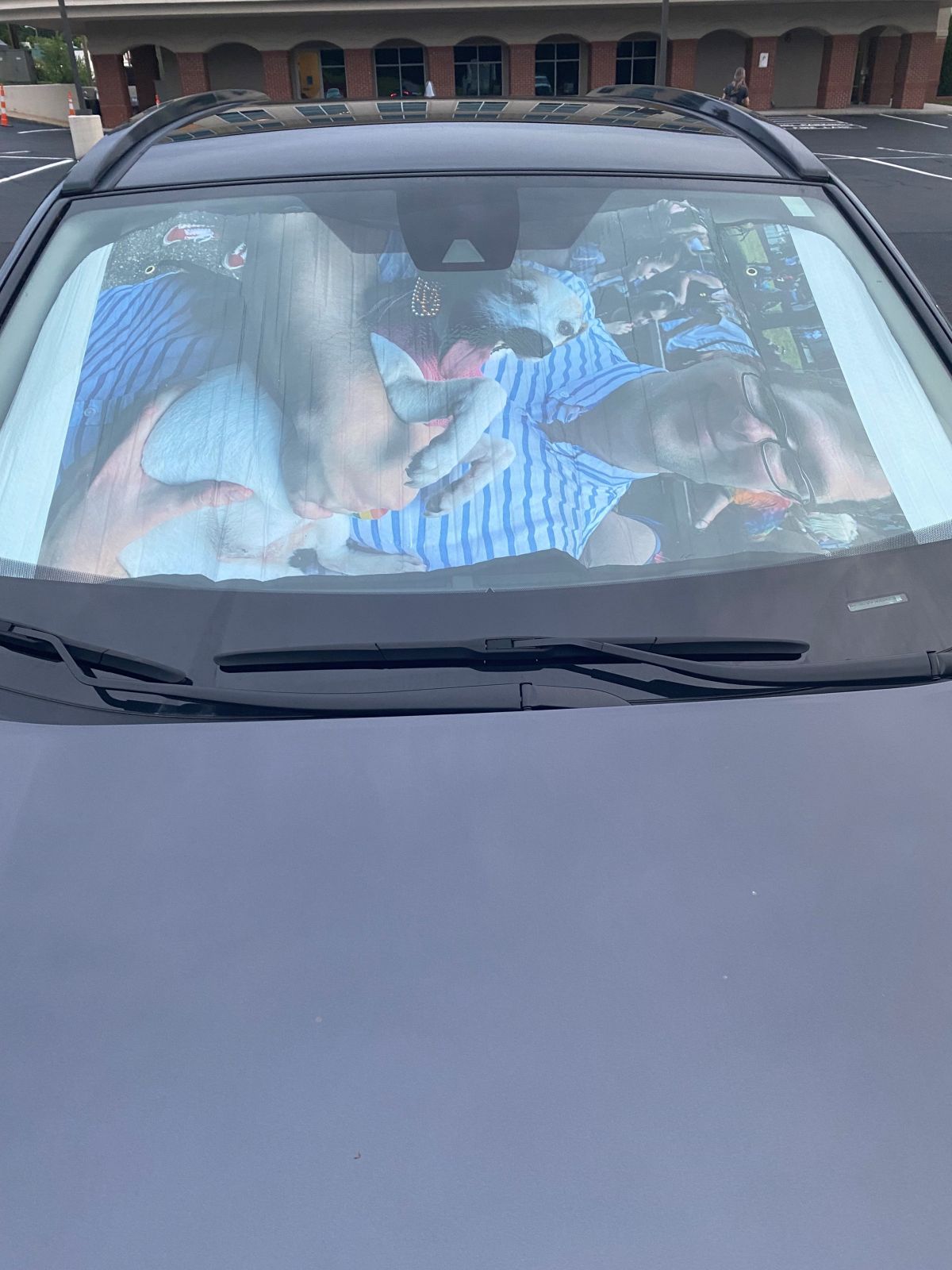Custom Personalized Car Sun Shade | Window Shield with Logo, Text or ...